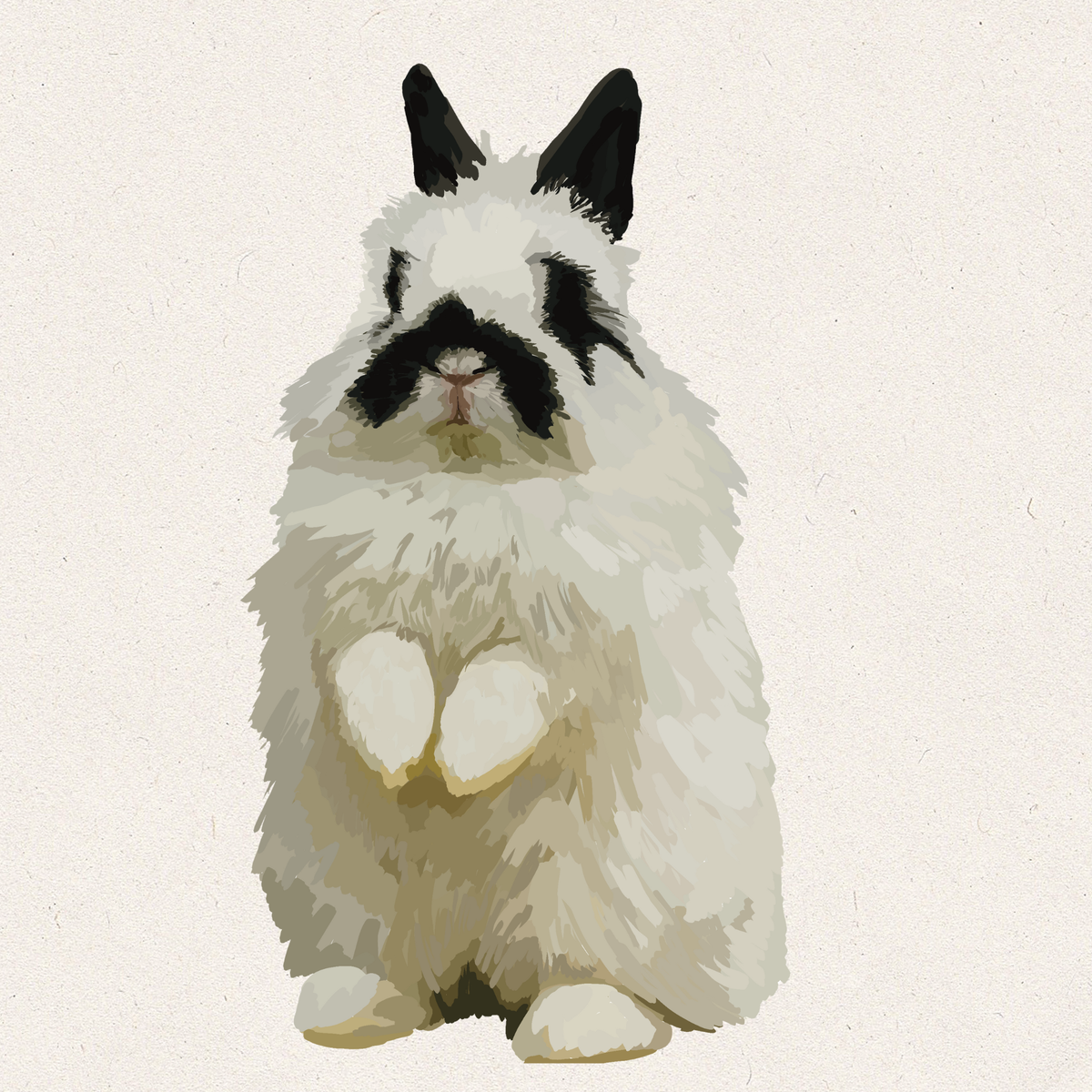 Puffin - Black Charlie Jersey Wooly – Little Beast Treats